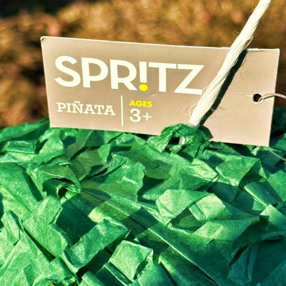 Spritz | Party Supplies | New Spritz Party Supplies Target Avocado ...